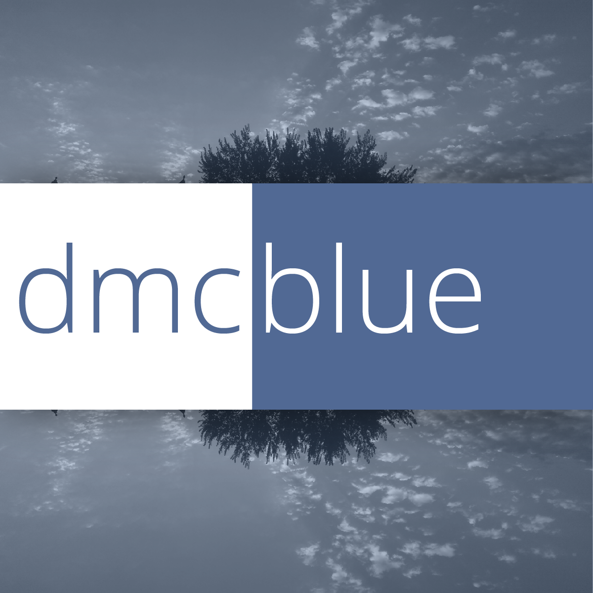 dmcblue